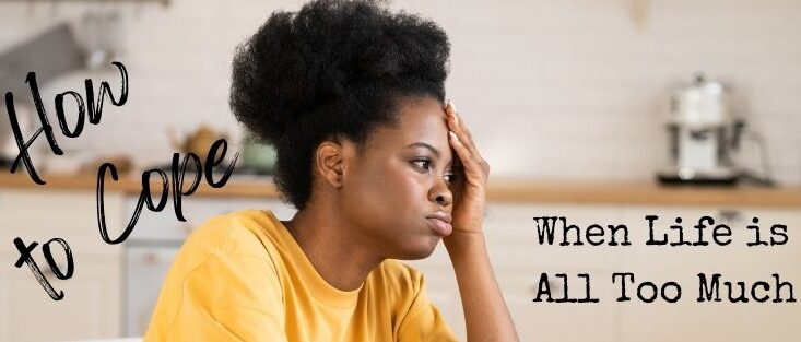 How to Cope When Life Is All Too Much - Life on Broomsage Hill